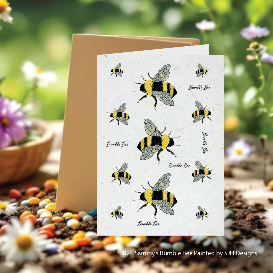 Sammy's Bee Seed Cards | Scope Online Charity Shop